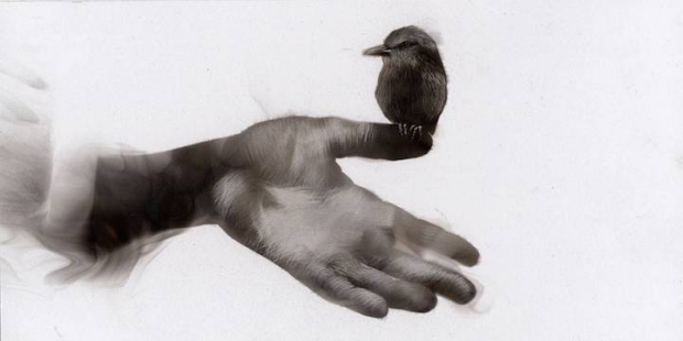 Steve Spazuk Paints with Fire and Soot | Boca do Lobo's inspirational world