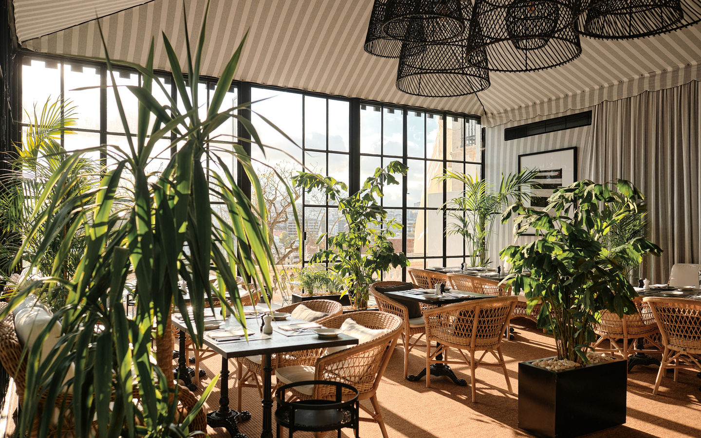 Celebrating The Gastronomic Success Of The Torel Boutiques Group